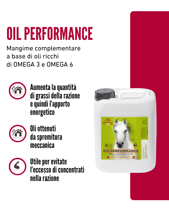 Oil Performance: Mangime complementare oleoso con Omega 3 e 6 per ...